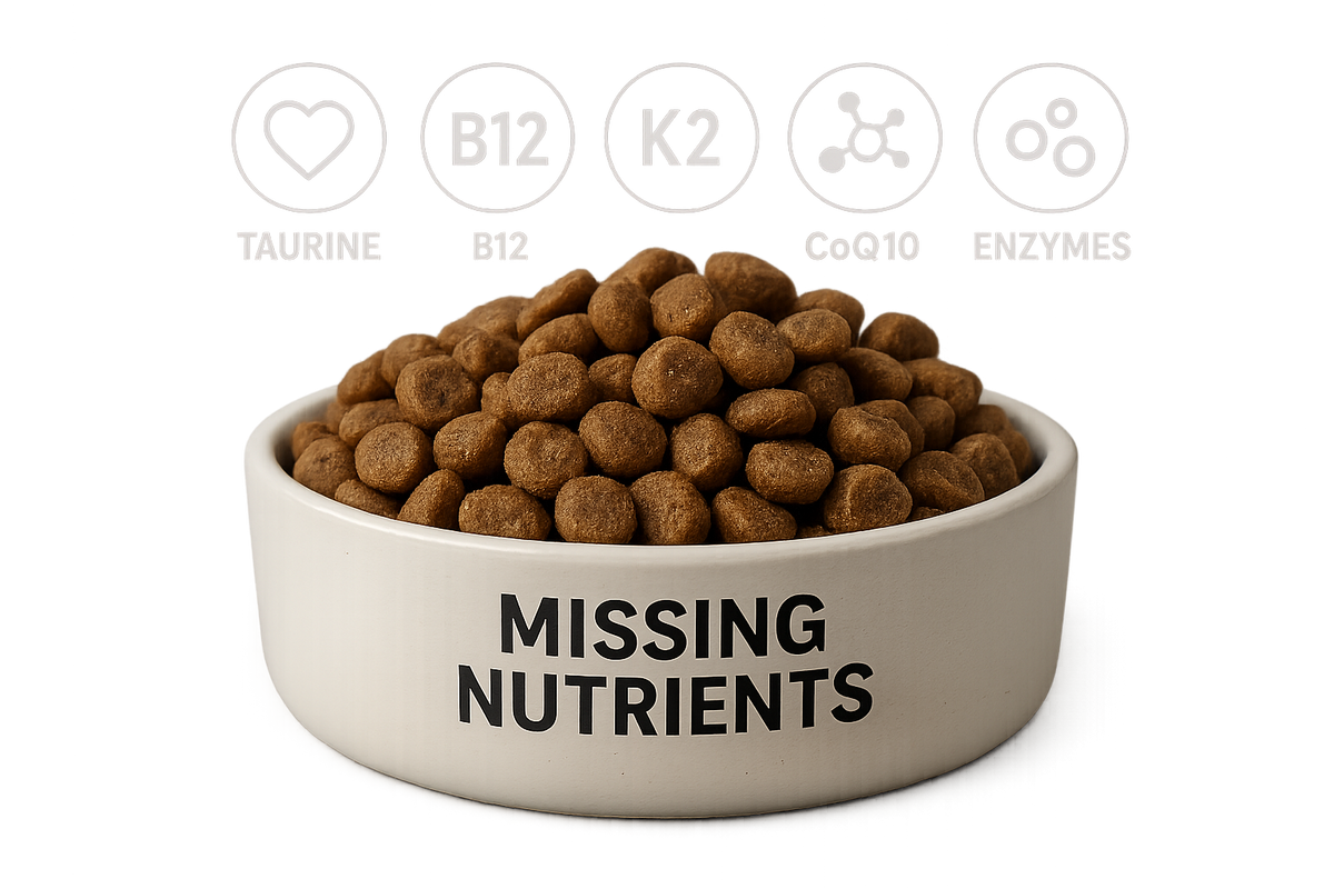 Dog Food Nutrient Gaps: 5 Missing Nutrients Organ Meats Fix – PrimalRx