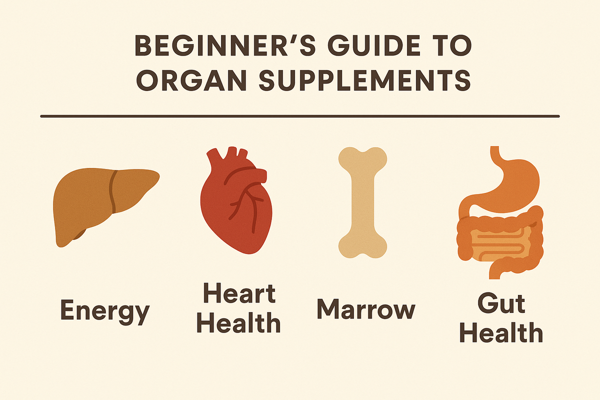 What Are Organ Supplements? A Beginner’s Guide to Ancestral Nutrition ...